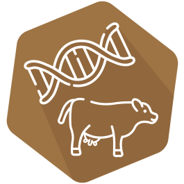 DNAnimal Screen Ruminant IPC