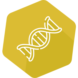 INgene® q Brucella spp.