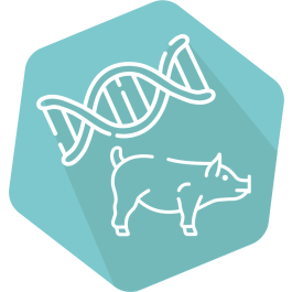 DNAnimal Ident Pig HS IPC (LR)