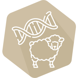 DNAnimal Ident Sheep IPC