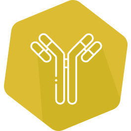 B ZERO AFLA B1, ELISA, 48 det.