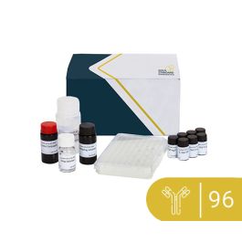 I'screen AFLA M1 milk, ELISA, 96 det.