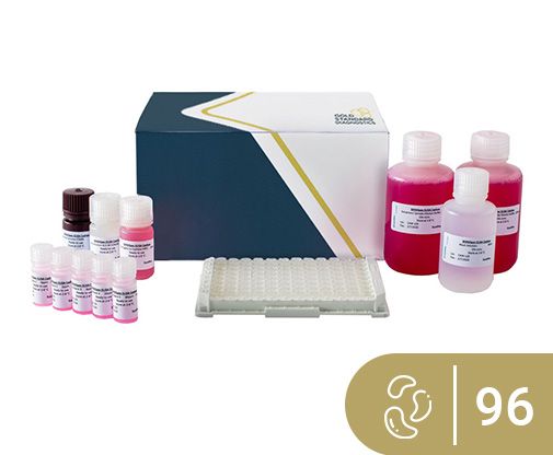 SENSISpec ELISA Cashew 96 Wells
