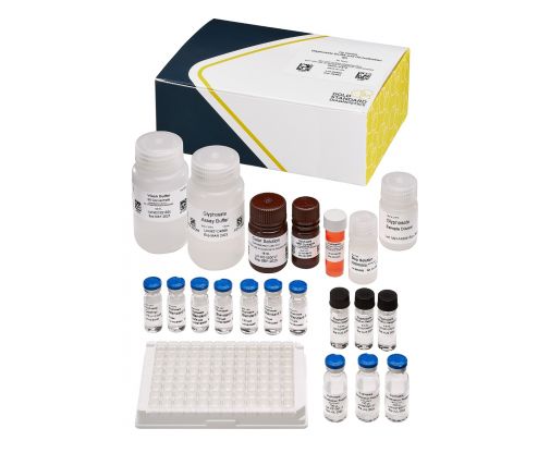 Elisa Test Kit