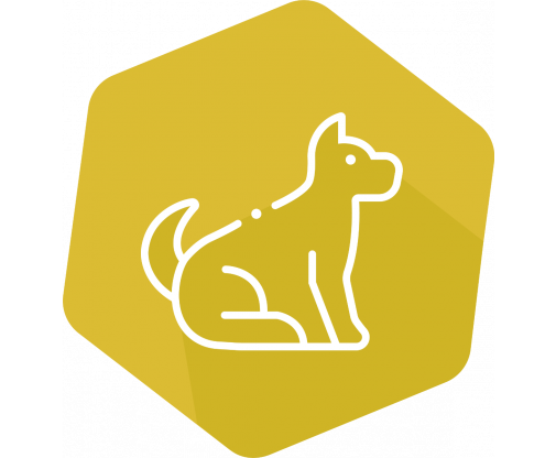 Canine INgezim® PLEX Food Sensitization kit