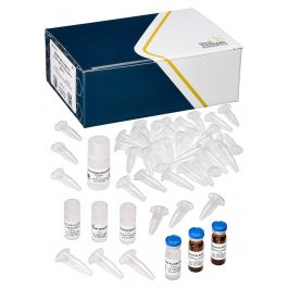 ABRAXIS® ACE (Affinity Capture & Extraction) – Microcystins Kit