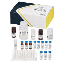 Cylindrospermopsin, ELISA, 96 tests