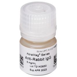 AbraMag anti-Rabbit Magnetic Beads, 1 mL sample size, 5 mg/mL