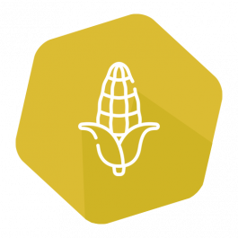 CP4 EPSPS (RR) Quantitative LFS Kit Corn