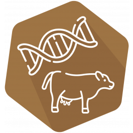 DNAnimal Ident Beef IPC