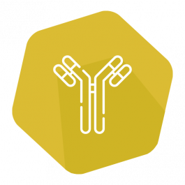 Conjugate Stabilizer/Diluent (HRP)