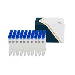 SENSIColumn IAC Combi Afla+Ochra